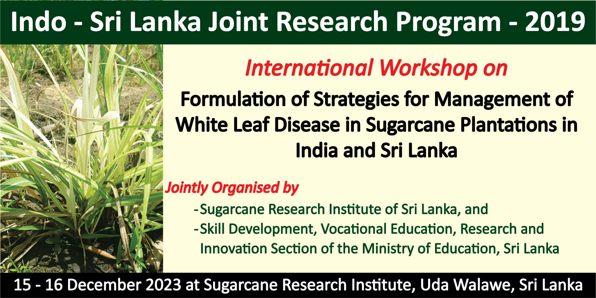 Indo-Sri Lanka Joint Research Program 2019 Workshop on White Leaf ...
